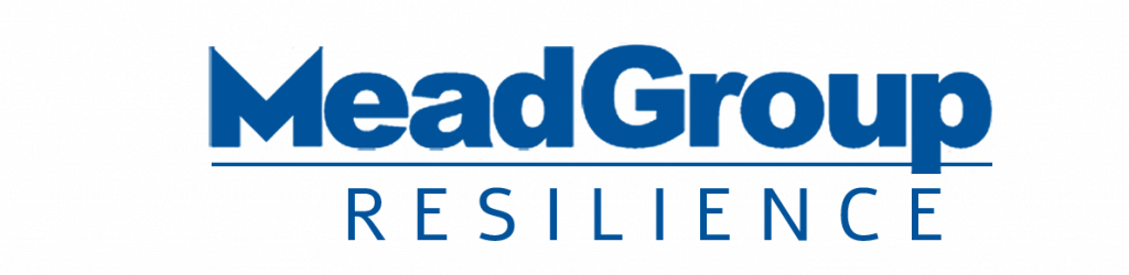 Home - The Mead Group